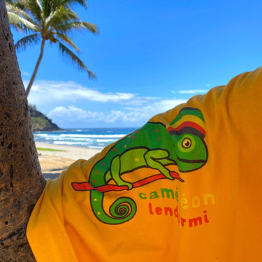 T-shirt Caméléon Lendormi (Rasta) – Fournaiz
